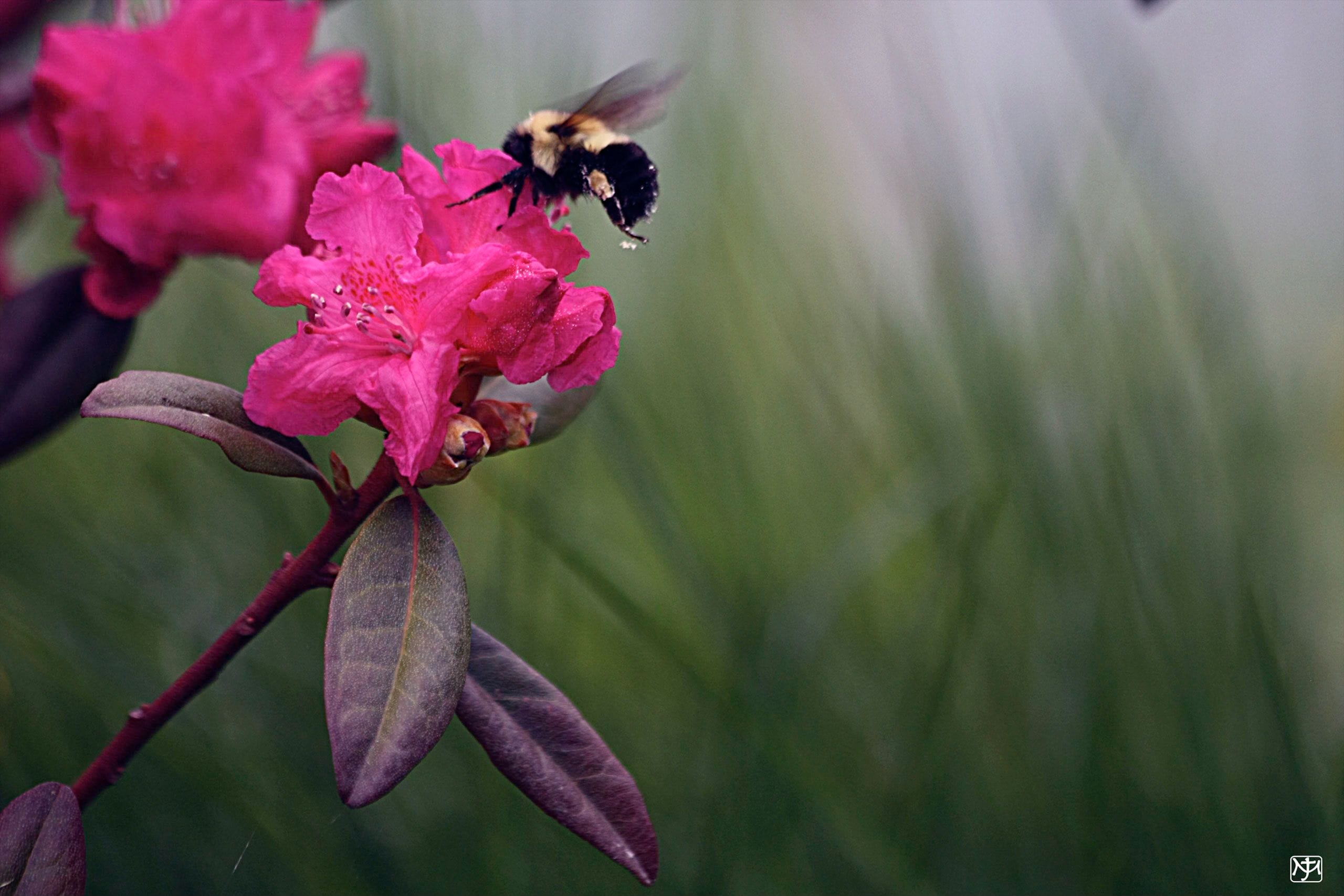 See Like a Camera: Photography Workshop with John Meader - Waterville ...