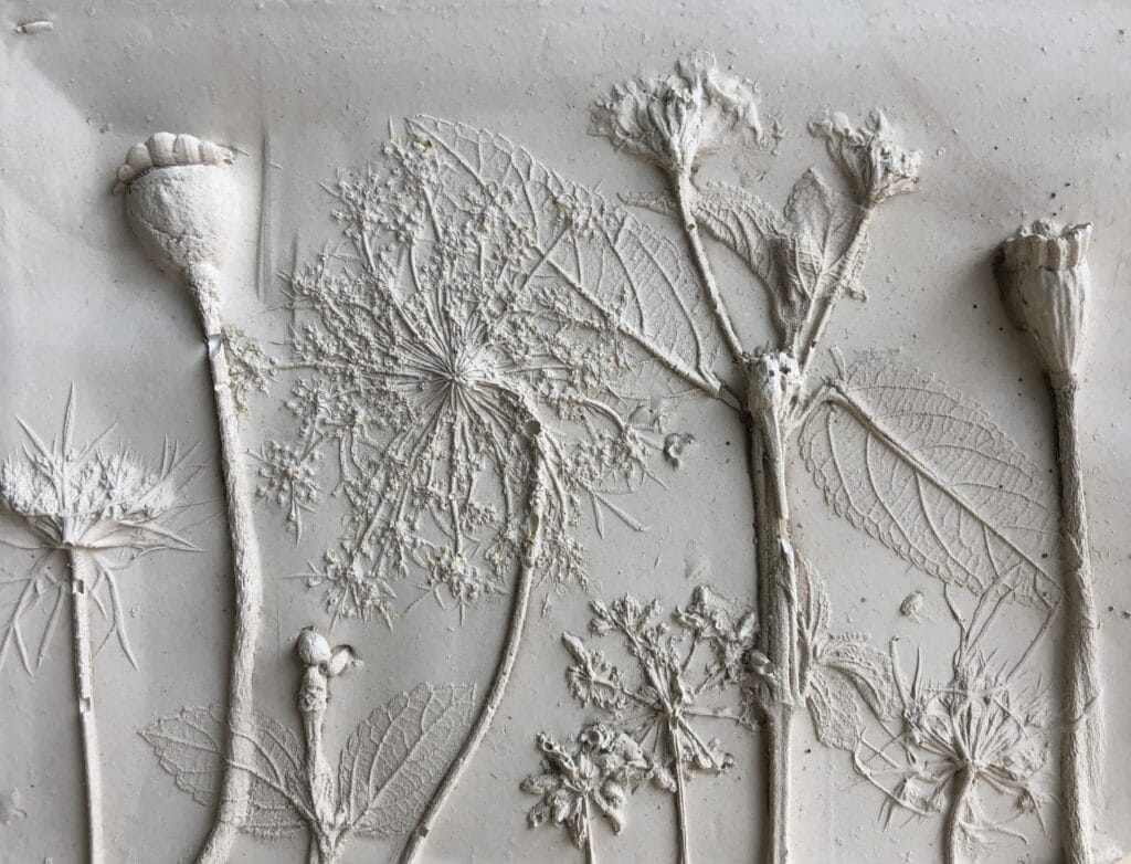 Print + Cast Your Garden - Waterville Creates