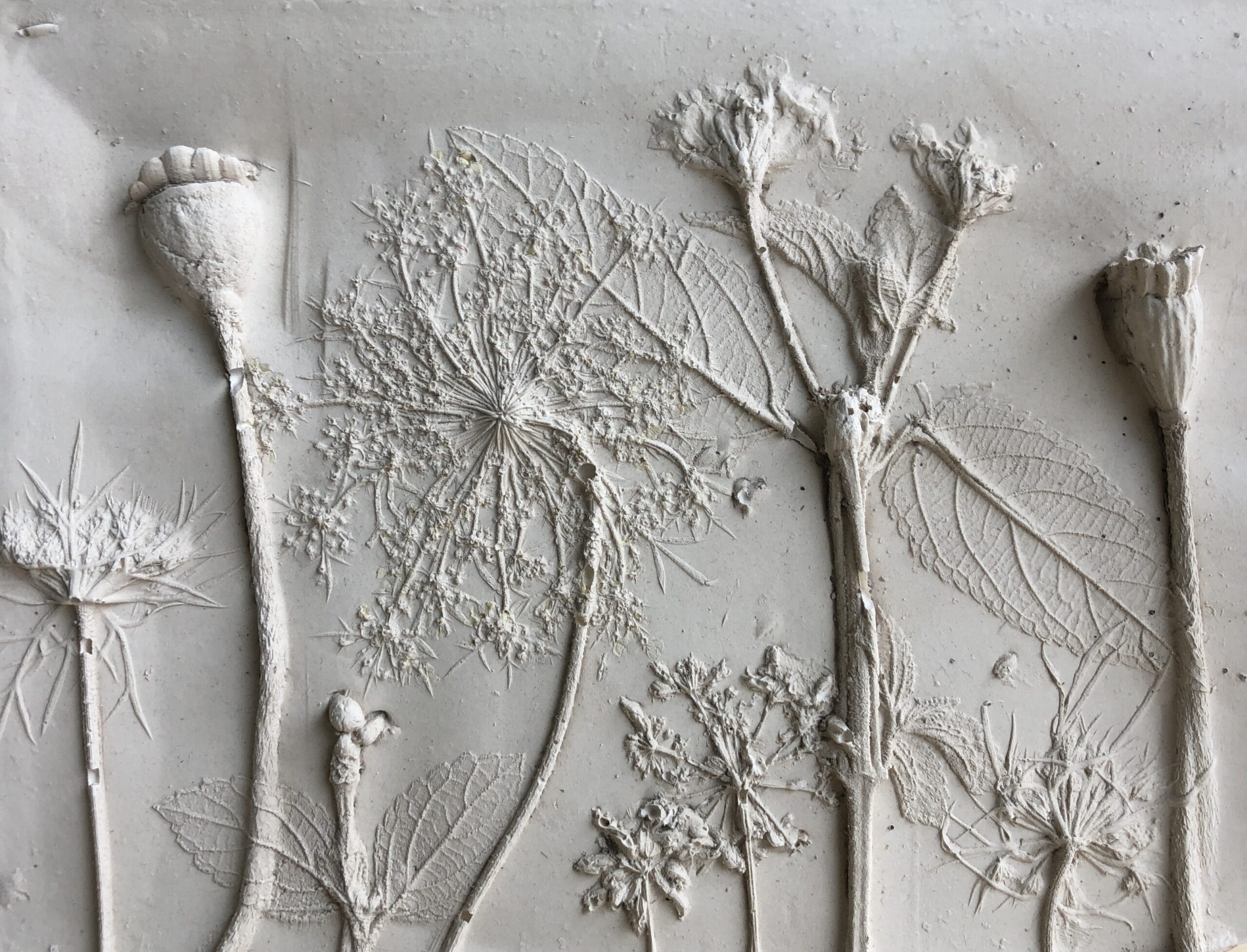 Print + Cast Your Garden - Waterville Creates